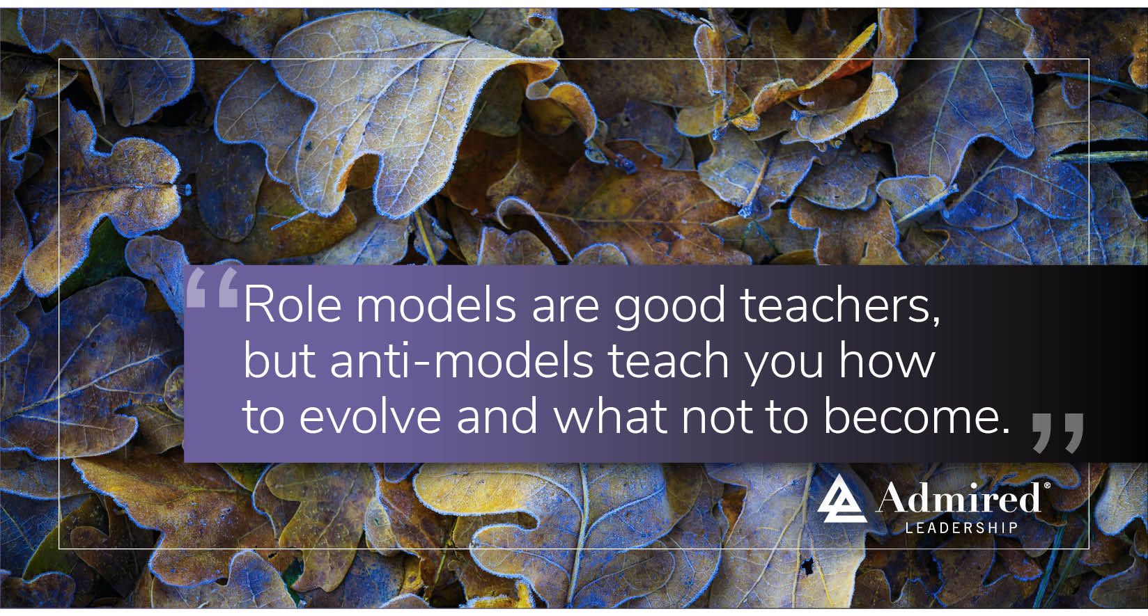 Find an Anti-Model – Admired Leadership