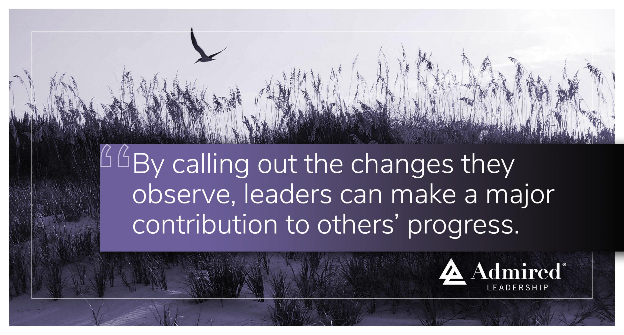 Recognize the Smallest Changes – Admired Leadership