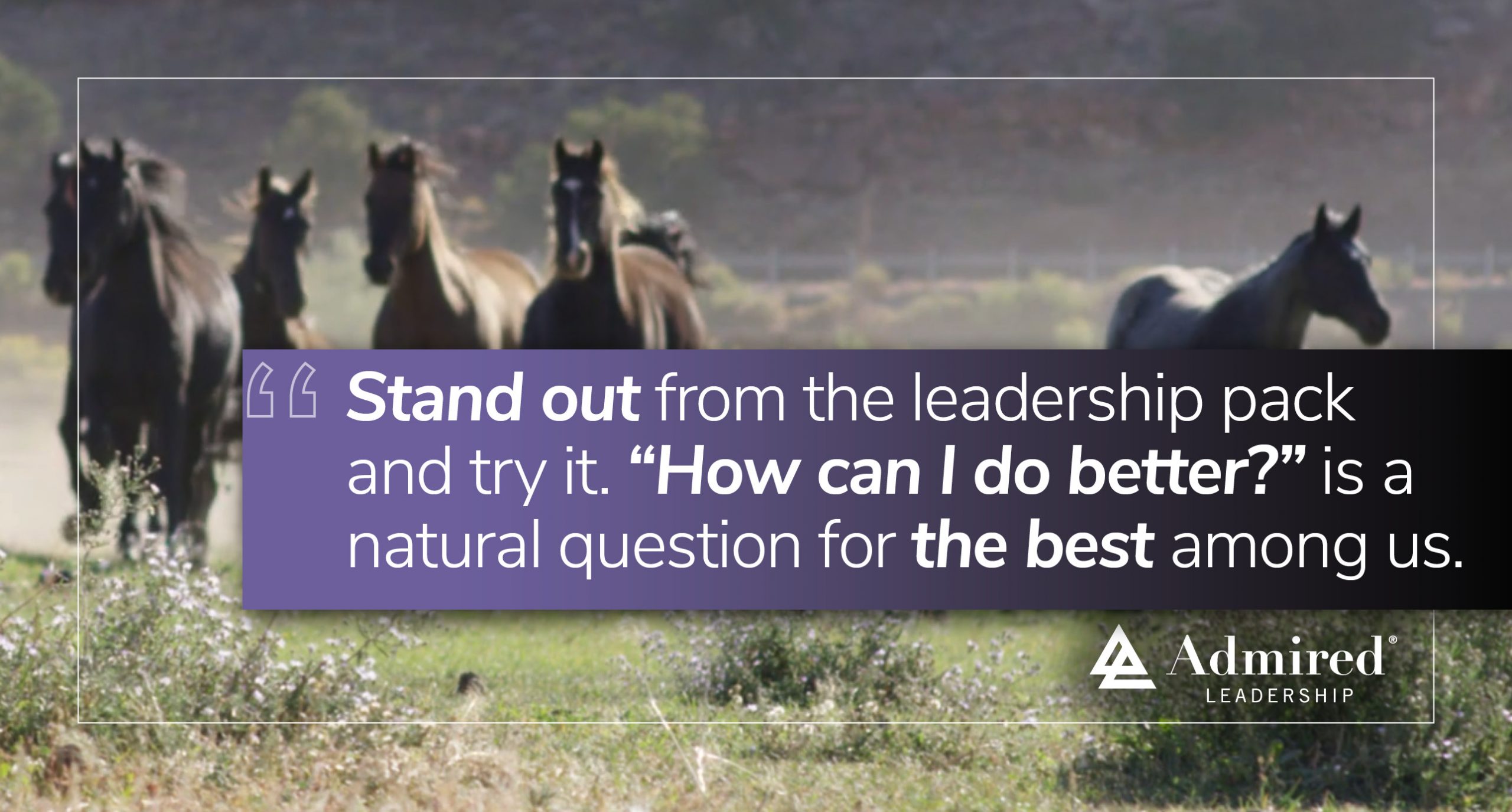 How Can I Do Better? – Admired Leadership