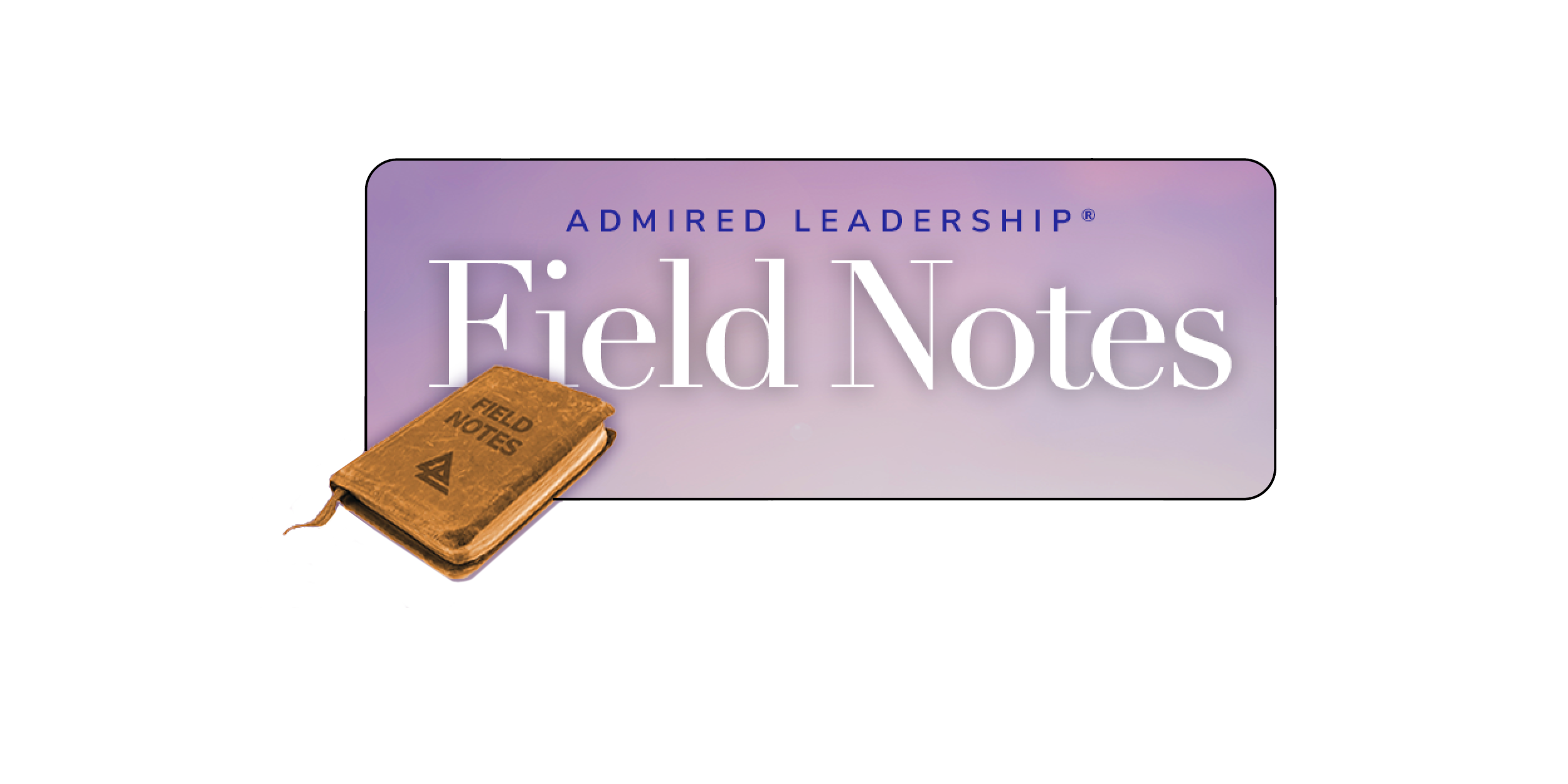 Are You a Lamp, Lifeboat, or Ladder? – Admired Leadership